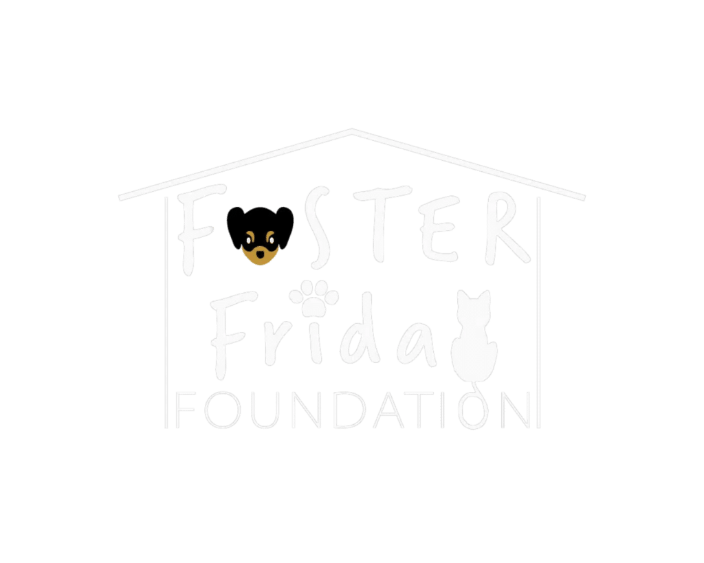 Mondays Dark to Benefit Foster Friday Foundation - The Space Las Vegas